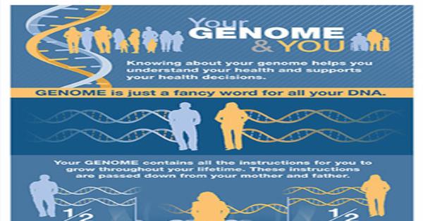 Your Genome & You Infographic Infographics | Medicpresents.com
