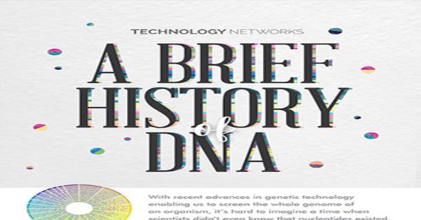 A Brief History of DNA Infographic Infographics | Medicpresents.com
