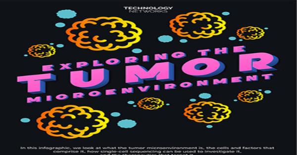 Exploring the Tumor Microenvironment Infographic Infographics ...