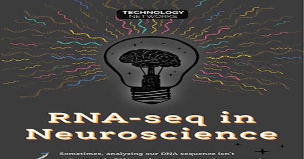 RNA-seq in Neuroscience Infographic Infographics | Medicpresents.com