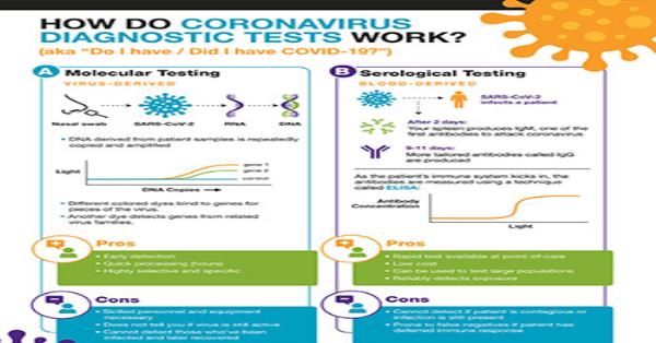 How Do Coronavirus Diagnostic Tests Work Infographic Infographics ...