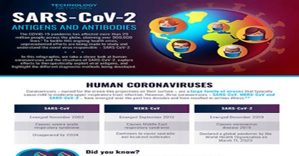 SARS-CoV-2 Antigens and Antibodies Infographic Infographics ...
