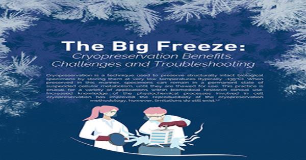The Big Freeze - Cryopreservation Benefits Challenges and ...