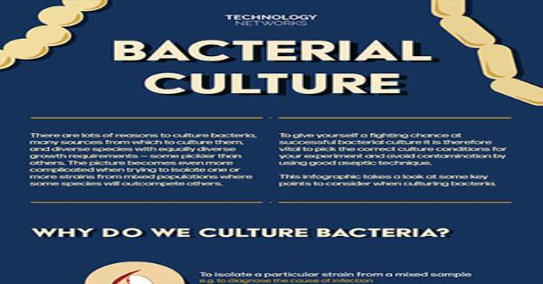Bacterial Culture Infographic Infographics | Medicpresents.com