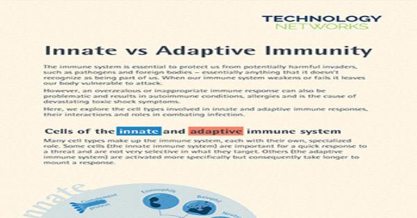 Innate vs Adaptive Immunity Infographic Infographics | Medicpresents.com