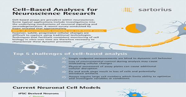 Cell-Based Analyses for Neuroscience Research Infographic Infographics ...