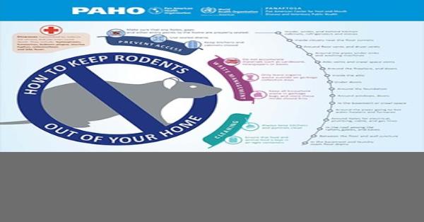 Keeping rodents out of home Infographics | Medicpresents.com