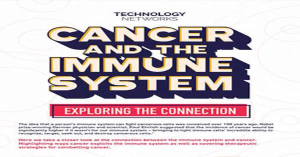 Cancer and the Immune System Infographic Infographics | Medicpresents.com