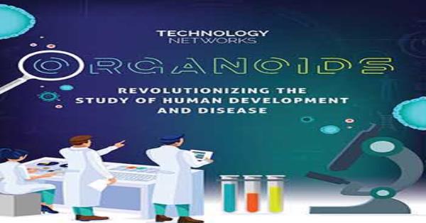 Organoids Infographic – Revolutionizing the Study of Human Development ...