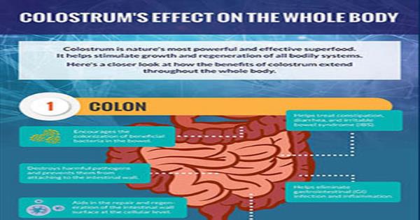 Colostrum’s Effect on the Whole Body Infographic Infographics ...