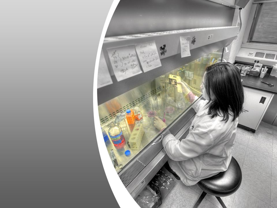 Free Medical Biosafety Cabinets Powerpoint Presentation Free Medical Biosafety Cabinets Powerpoint Presentation