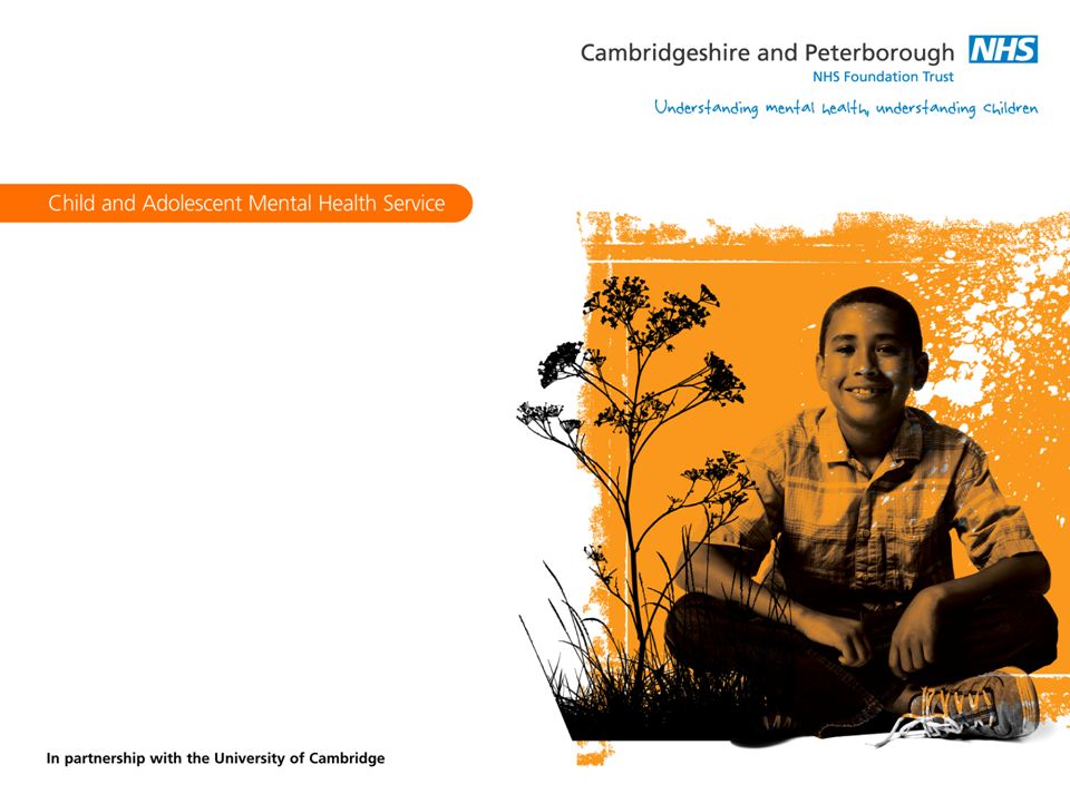 Nhs Powerpoint Template