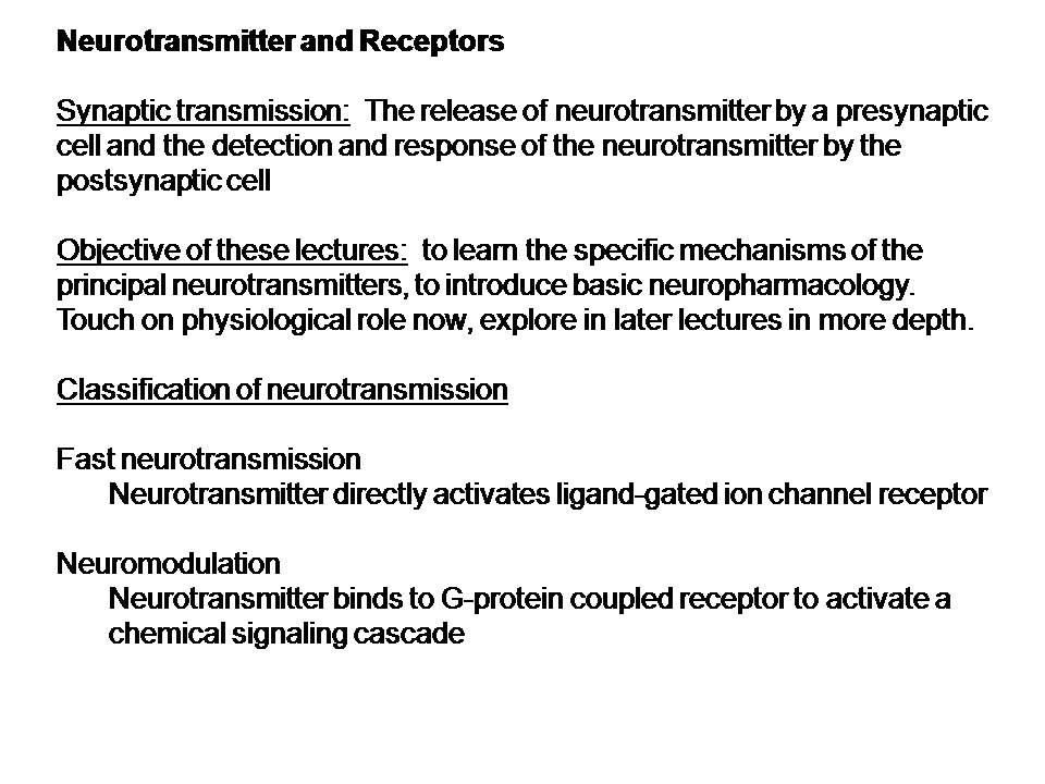 Ppt Neurotransmitters And Pharmacology Powerpoint