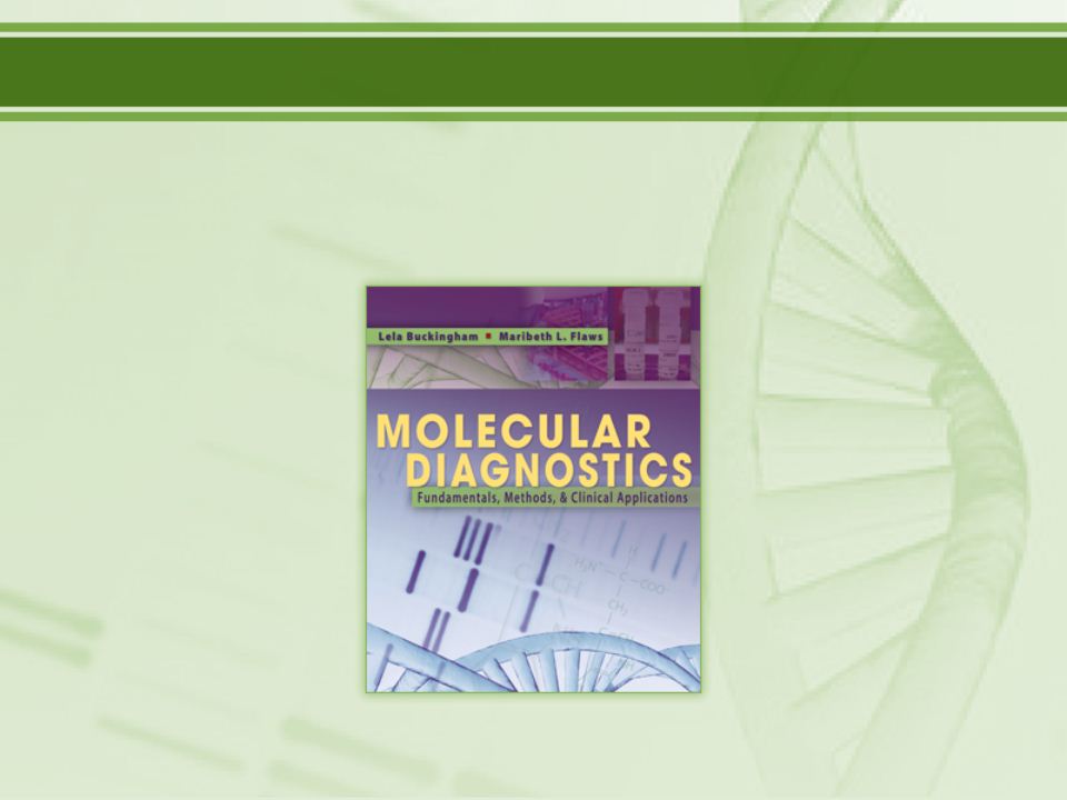 Chromosome Structure Ppt