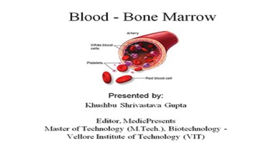 Download Free Medical Blood - Bone Marrow PowerPoint Presentation