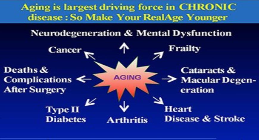 Download Free Medical Longevity is the Next Disruption in the Field of ...