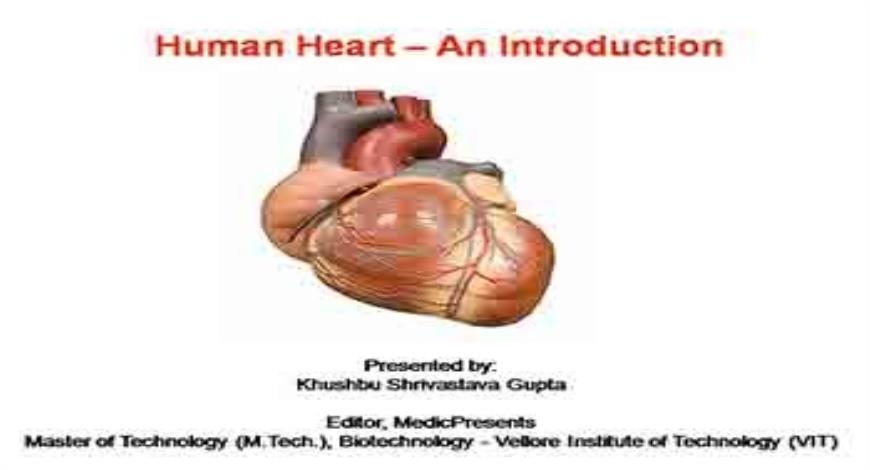 An Introduction to the Human Heart Medical Presentation