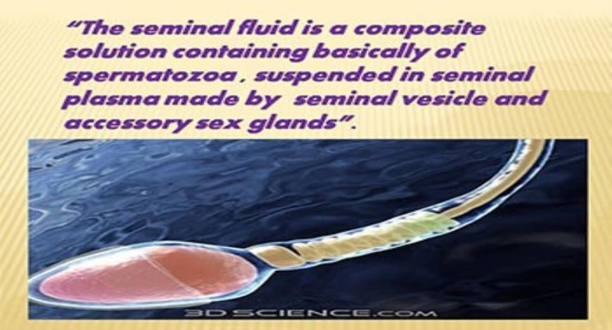 Download Free Medical PPP 6 SEMINAL FLUID ANALYSIS Fertility PowerPoint ...