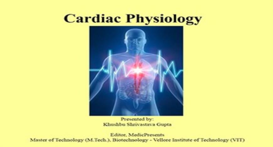 Download Free Medical Cardiac Physiology PowerPoint Presentation