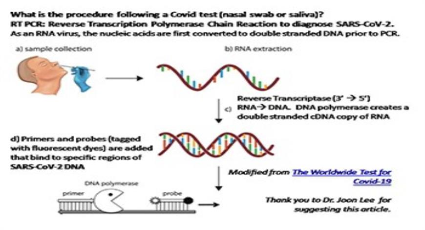 Download Free Medical PCR Lab PowerPoint Presentation