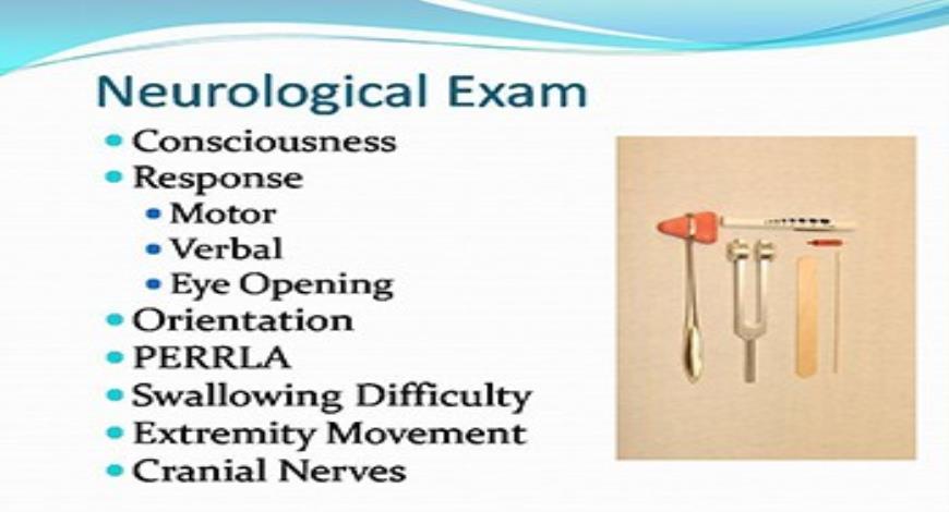 Download Free Medical Neuro Assessment PowerPoint Presentation