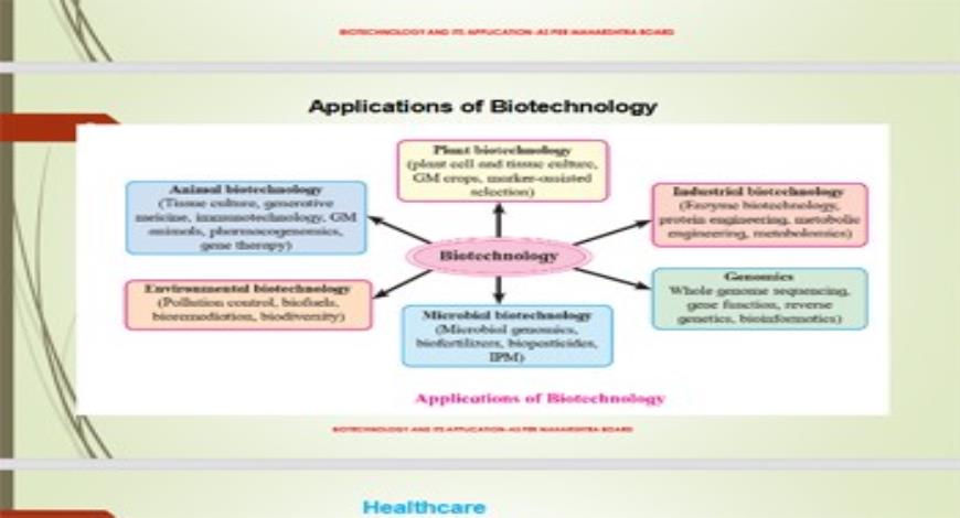 Download Medical Notes on Biotechnology and Its Application