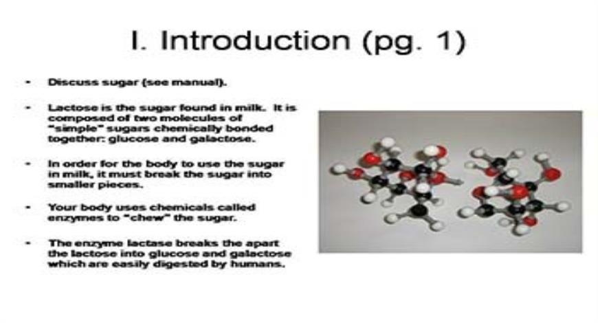 Download Free Medical Lactose Intolerance PowerPoint Presentation