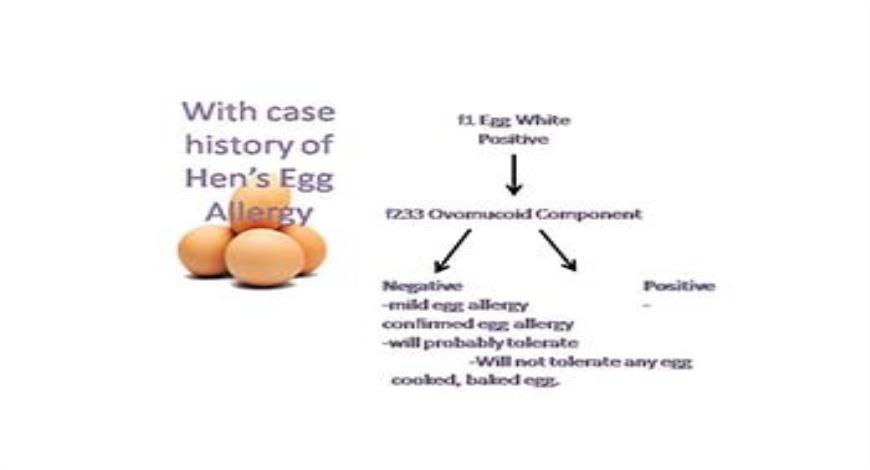 Download Free Medical Allergen components PowerPoint Presentation