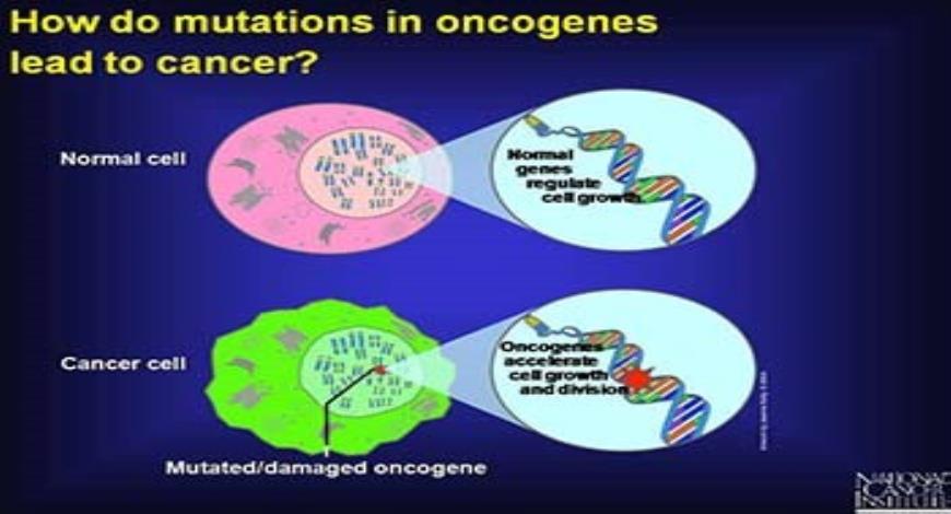 Download Free Medical Understanding Cancer PowerPoint Presentation