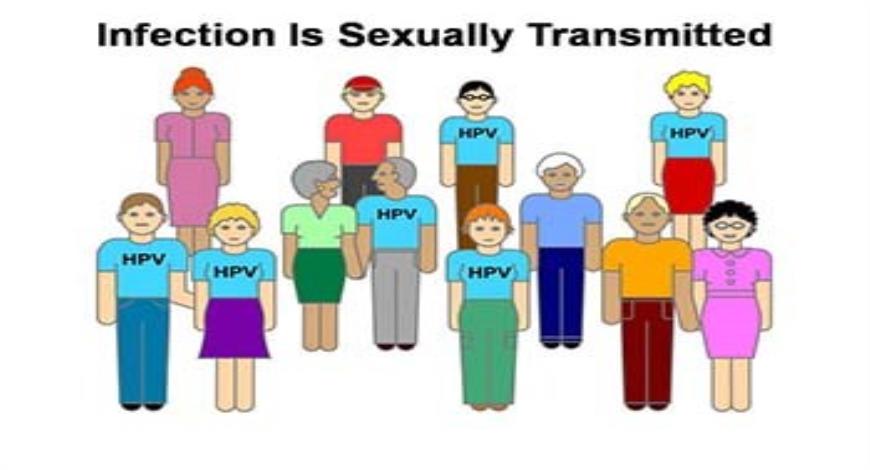 Download Free Medical Human Papillomavirus (HPV) and Cancer PowerPoint ...
