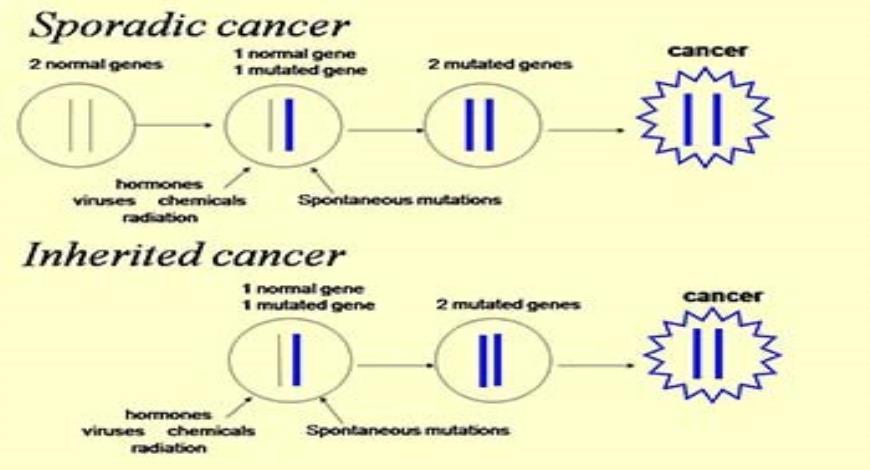 Download Free Medical Cancer Genetics for Primary Care PowerPoint ...