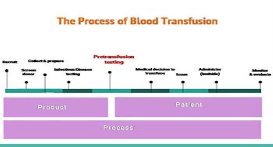 Download Free Medical Blood Typing PowerPoint Presentation