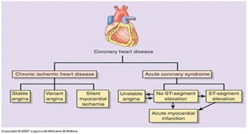 Download Free Medical Coronary Heart Disease PowerPoint Presentation