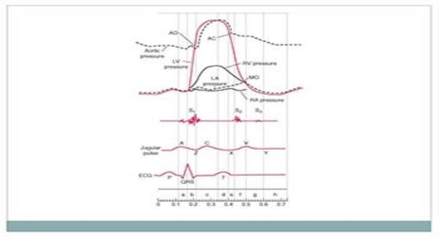Download Free Medical PULSE PowerPoint Presentation