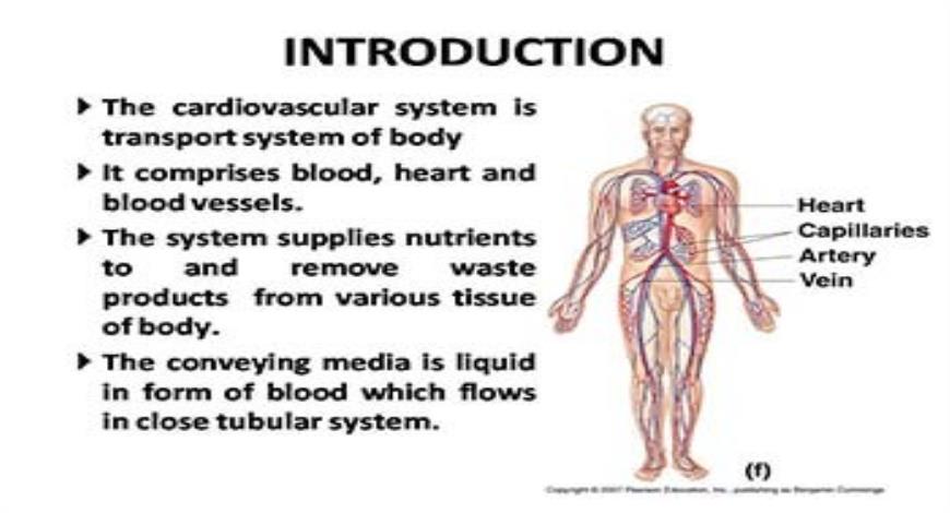 Download Free Medical Introduction to the Human Cardiovascular System ...