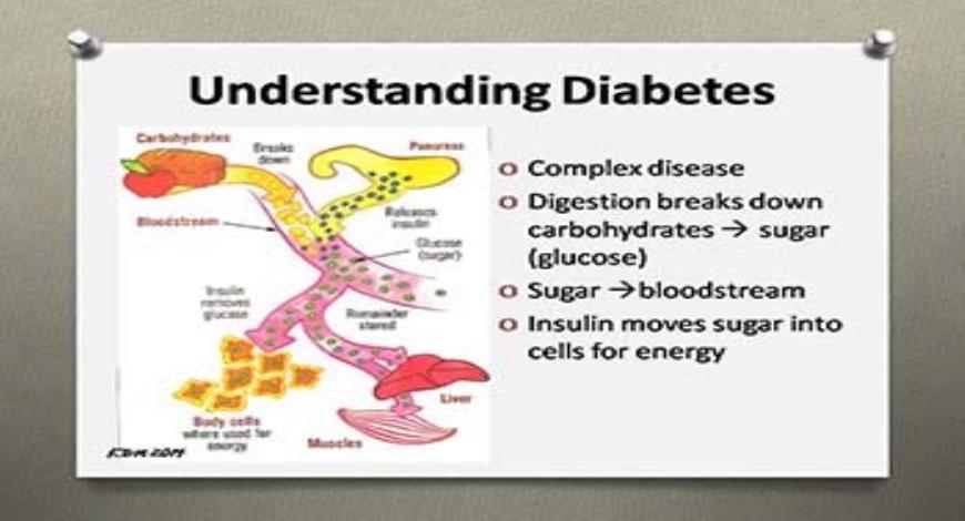 Download Free Medical Diabetes Basics PowerPoint Presentation