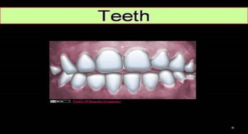 Download Free Medical Dental Emergencies and Common Dental Blocks ...