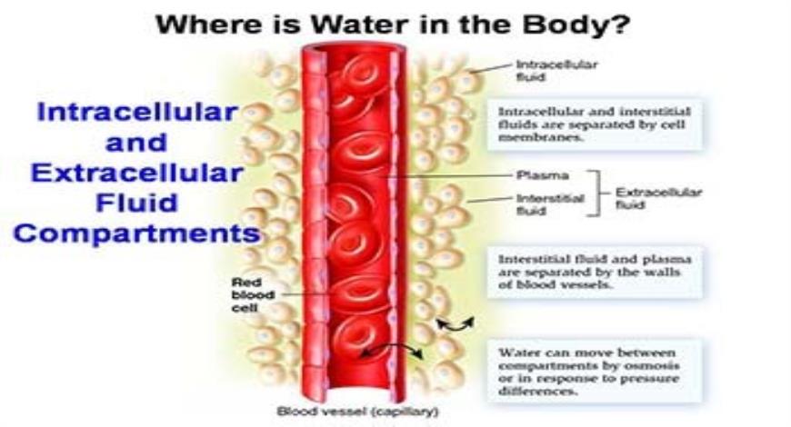 Download Free Medical Water PowerPoint Presentation