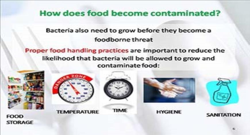 Download Free Medical Food Safety and Sanitation PowerPoint Presentation
