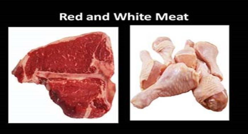 Download Free Medical MEAT and MEAT COOKERY PowerPoint Presentation