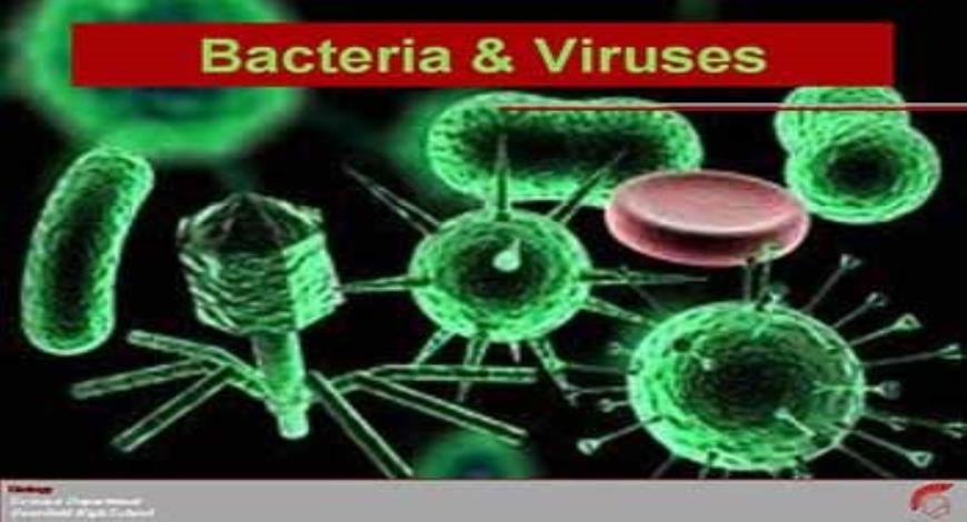 Download Free Medical Bacteria and Viruses PowerPoint Presentation