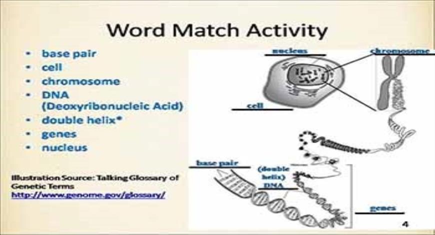 Download Free Medical Basic Genetic Concepts and Terms PowerPoint ...