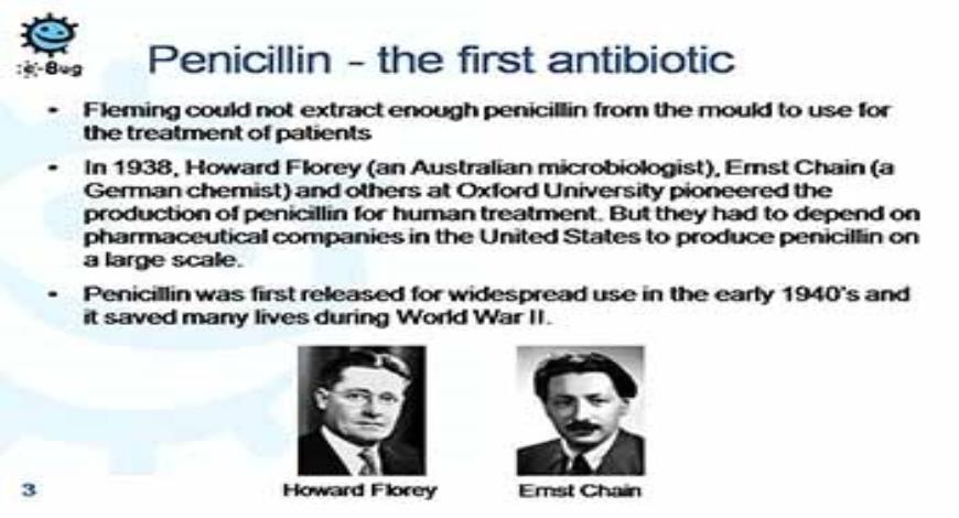 Download Free Medical Discovery and development of antibiotics ...