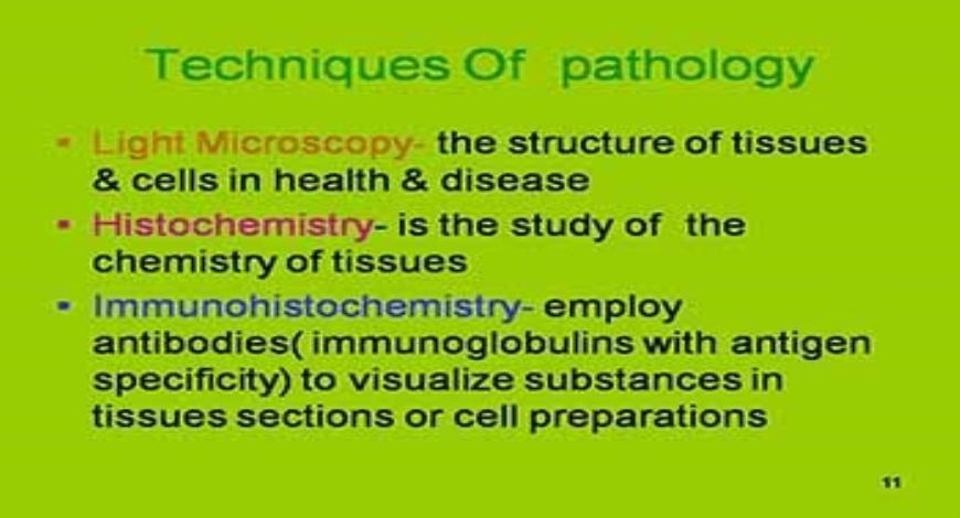 Download Free Medical Introduction To Pathology PowerPoint Presentation