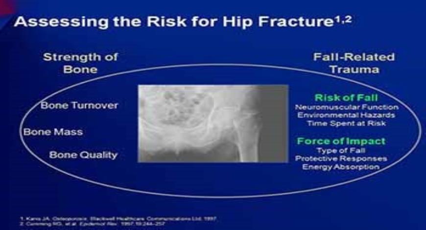 Download Free Medical Recovering From Hip Fracture PowerPoint Presentation