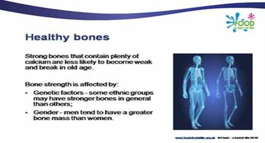 Download Free Medical Bone health through life PowerPoint Presentation
