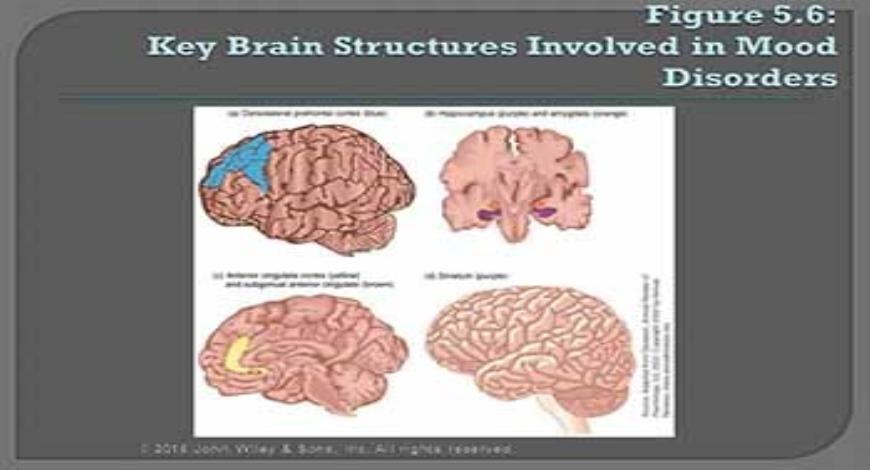 Download Free Medical Mood Disorders PowerPoint Presentation