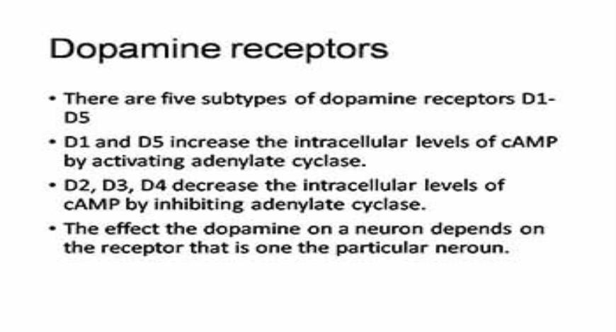 Download Free Medical Dopamine PowerPoint Presentation
