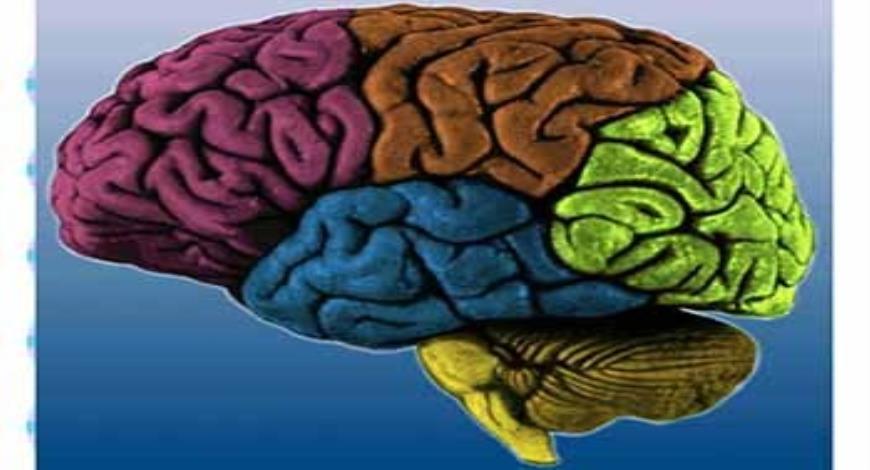 Download Free Medical TO DEVELOP SPOKEN LANGUAGE IN INFANTS - BEGIN ...