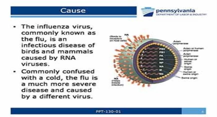 Download Free Medical Influenza-Protecting Your Employees PowerPoint ...